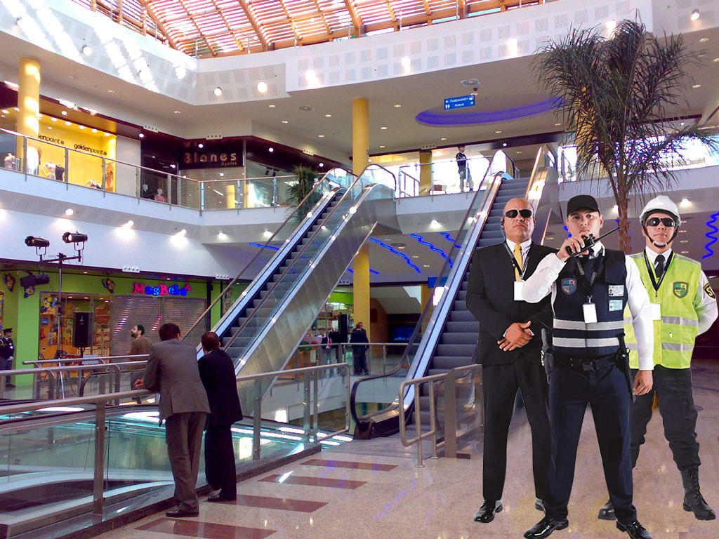 SERVICIOS – australsecurity